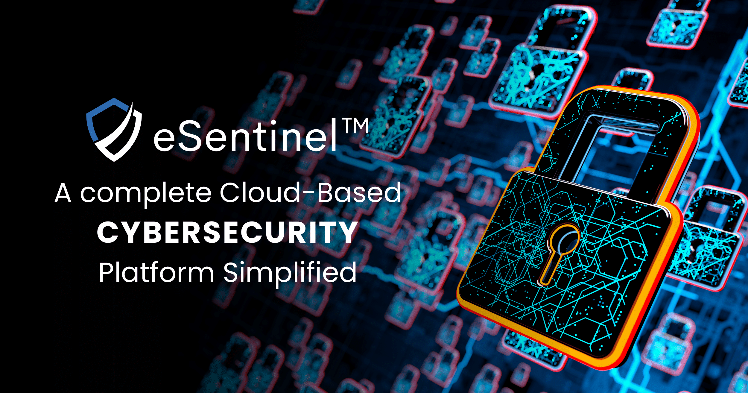 Managed Service Provider Singapore & Malaysia | Netpluz Asia